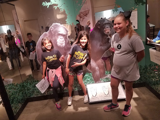 Museum «Texas Memorial Museum», reviews and photos, 2400 Trinity St ...