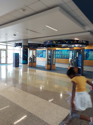 Arena «The Rick Case Arena at the Don Taft University Center», reviews ...