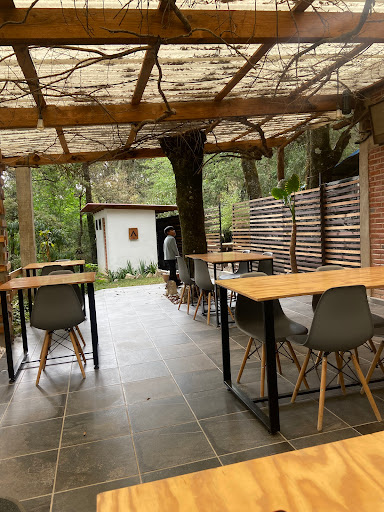 Los mejores restaurantes sirviendo comida Mexicana en Hidalgo ...