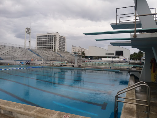 Museum «International Swimming Hall of Fame Museum», reviews and photos ...