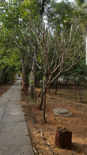 Dhamma Khetta Vipassana International Meditation Centre - Bus Stop ...
