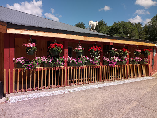 Circle 9 Ranch Campground - AZexplained