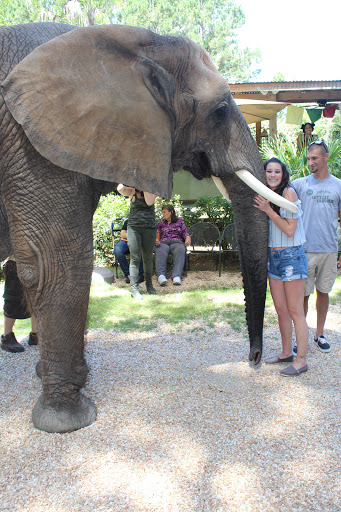 Myrtle Beach Safari (by reservation only) - AZexplained