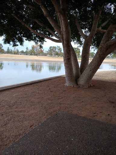 Golf Course «Dobson Ranch Golf Course», reviews and photos, 2155 S ...