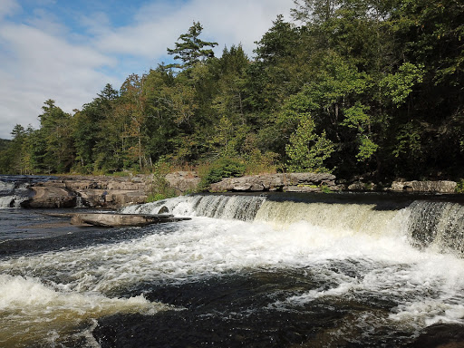 Neversink Gorge Trails