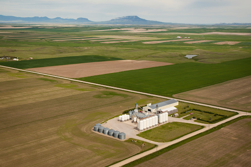 Clearview Seed - AZexplained