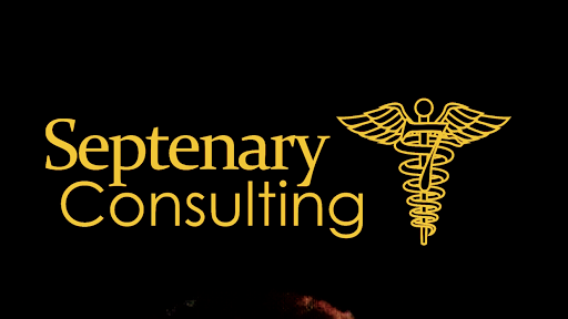 Septenary Consulting - Psychotherapist