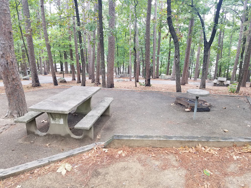 Dam Site Campground in Heber Springs, Arkansas - Zaubee