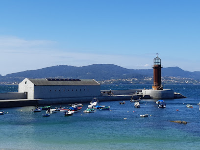 Descubre las maravillosas playas de perros en Vigo: ¡un paraíso canino ...