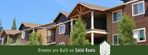 Solid Roots Construction LLC - AZexplained