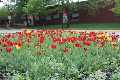 Iowa State University Agronomy Department - AZexplained