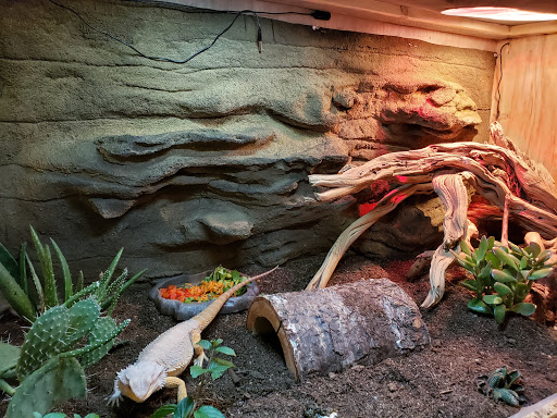 Aquarium «Universal Rocks», reviews and photos, 805 Shepherd Dr ...