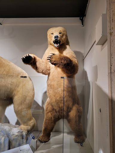 Science Museum «Buffalo Museum of Science», reviews and photos, 1020 ...