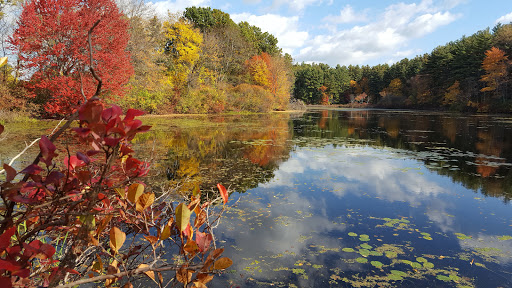 Park «Russell Mill Pond and Town Forest», reviews and photos, 105 Mill ...