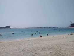 Turtle beach 🏖️ Maydarah, Ras al-Khaimah, United Arab Emirates ...