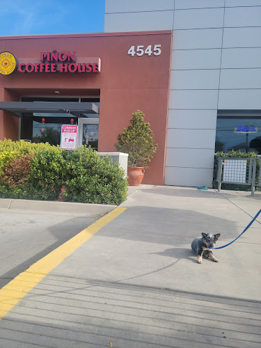 REAL Feedback - PIÑON COFFEE HOUSE Reviews