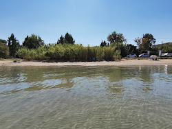 Kalamia Arkitsa beach 🏖️ Central Greece, Greece - detailed features ...