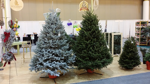 Dutchman Tree Farms - AZexplained