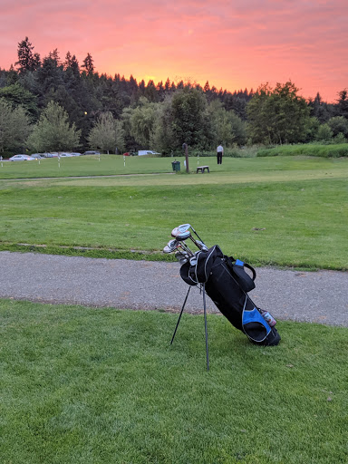 Golf Course «Willows Run Golf Complex», reviews and photos, 10402 ...