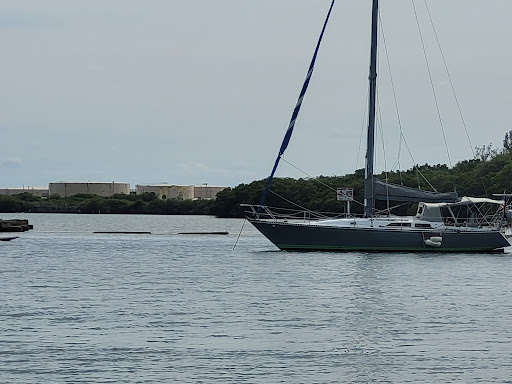 Gandy Beach Mangroves - 13498 Gandy Blvd N, St. Petersburg, Florida ...