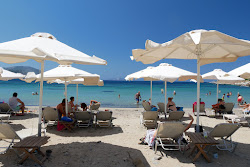 Kalogria beach 🏖️ Ατσίτσα, Skyros island, Greece - detailed features ...