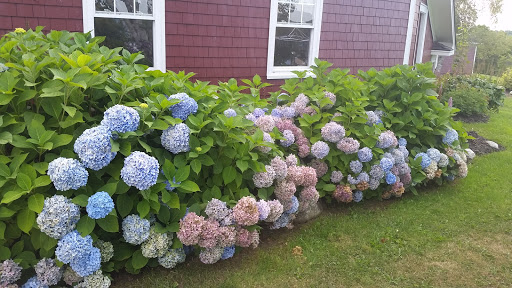 Mike Nadeau Construction - AZexplained