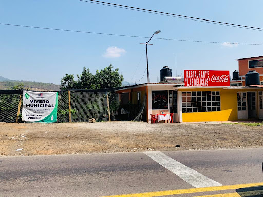 Restaurante Restaurante Las Delicias en Temascaltepec