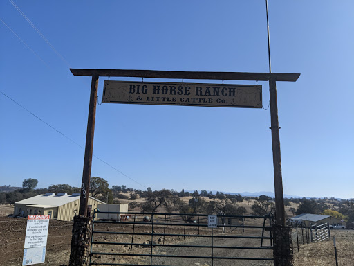 Big Horse Ranch in Ione, California - Zaubee