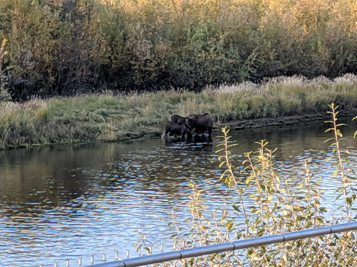 The Boatel Bar - Locations from All Over the World