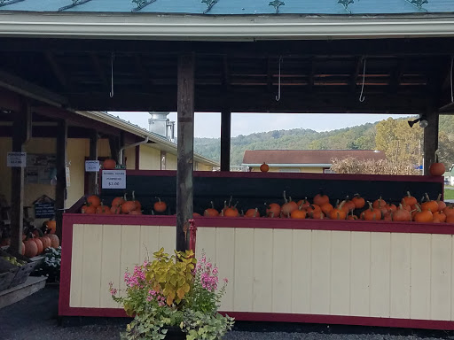 Flying W Farms - AZexplained