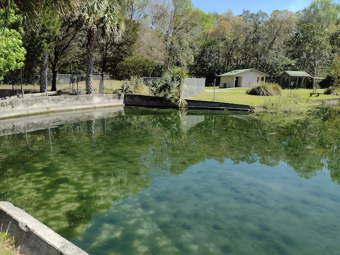 Bluebird Springs Park - Locations from All Over the World