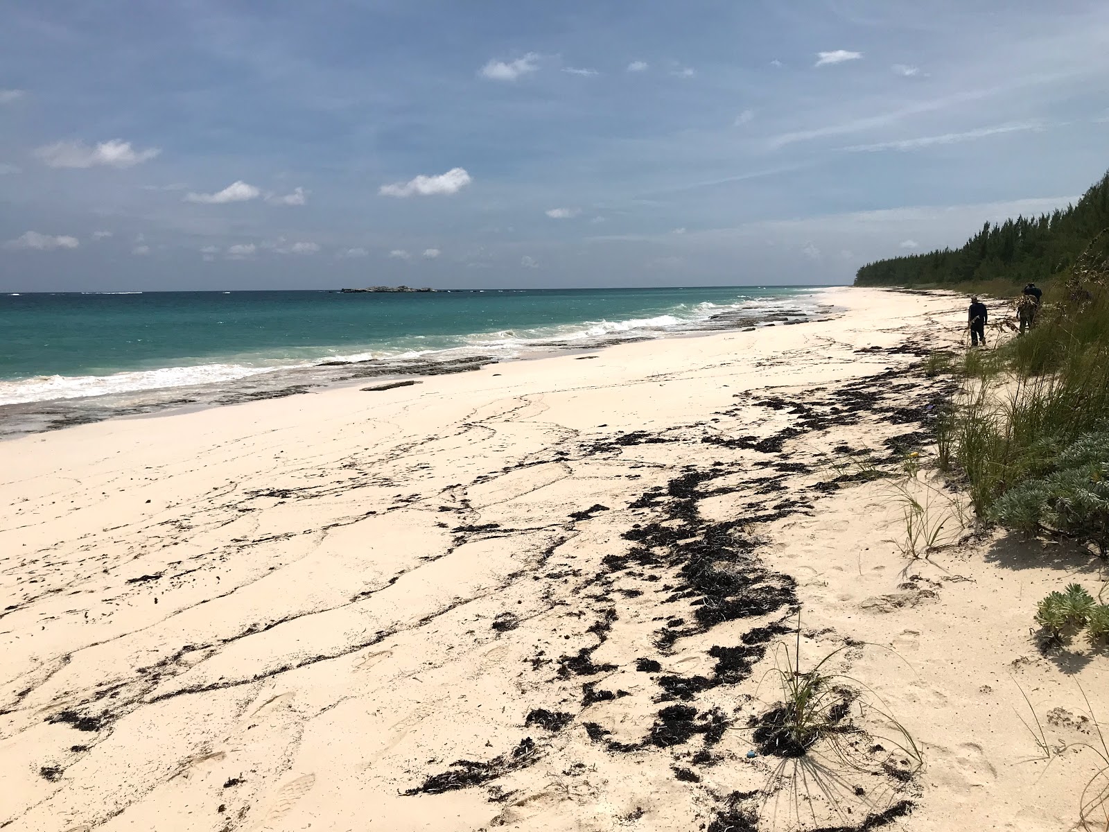 Crossing Rocks beach 🏖️ Cherokee, Bahamas - características detalhadas ...