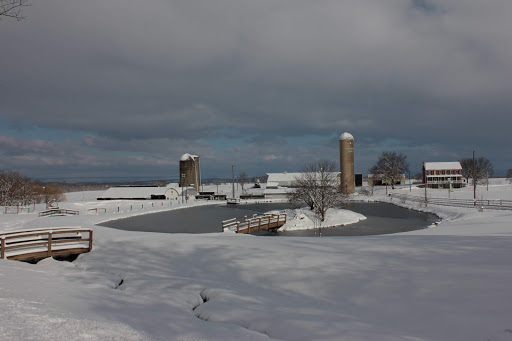 Hospital «WellSpan Philhaven», reviews and photos