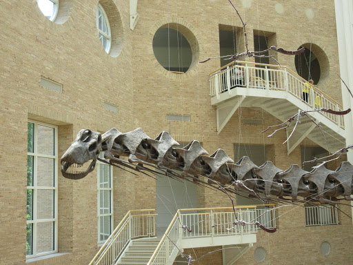 Planetarium «Fernbank Science Center», reviews and photos, 156 Heaton ...