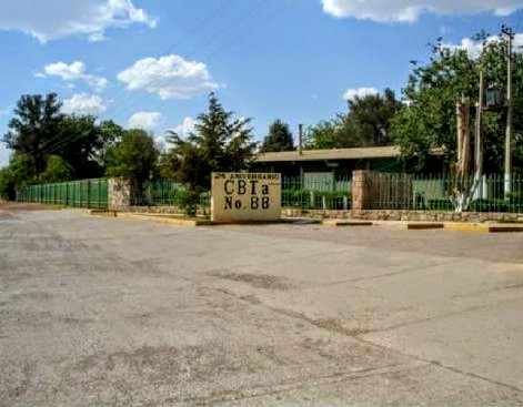 Cbta 88 en la ciudad Ojocaliente