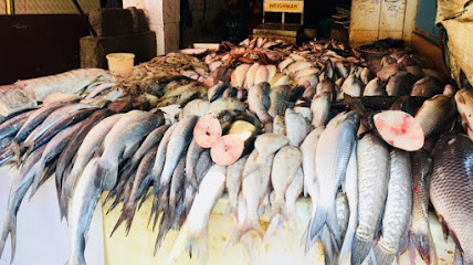 Kamadhenu Organic Farm in Varthur, Bengaluru, Karnataka - Zaubee