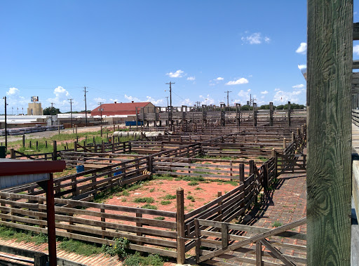 Museum «Stockyards Museum», reviews and photos, 131 E Exchange Ave ...