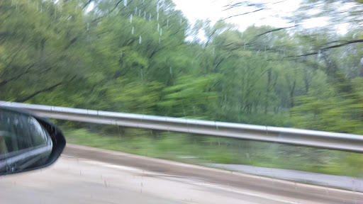 Nature Preserve «Rubio Woods», reviews and photos, W. Midlothian ...