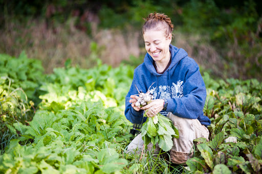 Broadfork Farm - AZexplained