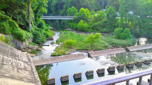 Nature Preserve «Lake Roland Nature Council», reviews and photos, 1000 ...