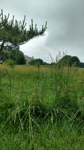 Golf Course «Overpeck Golf Course», reviews and photos, 273 E Cedar Ln ...