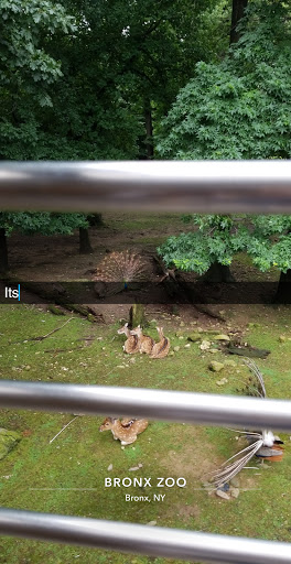 Bronx Zoo Store in The Bronx, New York - Zaubee