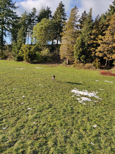 Park «Maple Leaf Reservoir Park», reviews and photos, 1020 NE 82nd St ...