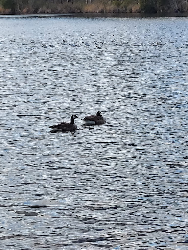Lake Rim Park - Park - Fayetteville, North Carolina - Zaubee