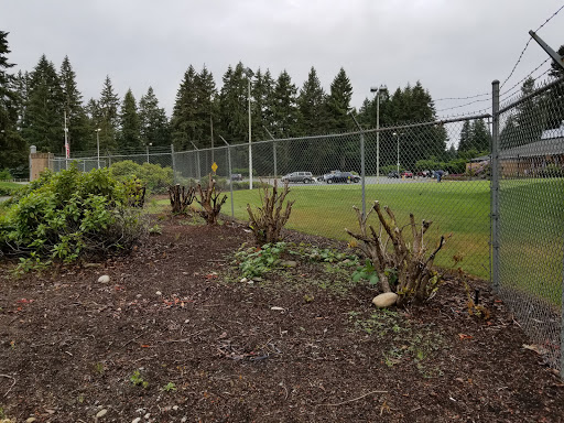 Golf Course «Lake Spanaway Golf Course», reviews and photos, 15602 ...