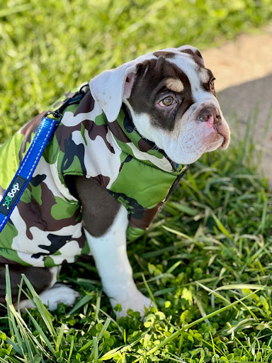 Golf Course «Winding Ridge Golf Club», reviews and photos, 5450 Bogey ...