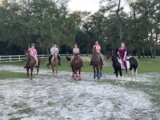 Navarre Equestrian Center, LLC | Ride The Horse