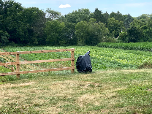 Cucurbit Farm - AZexplained