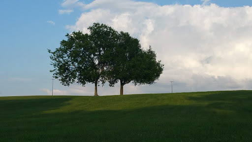 Golf Course «Two Rivers Golf Course», reviews and photos, 2235 2 Rivers ...