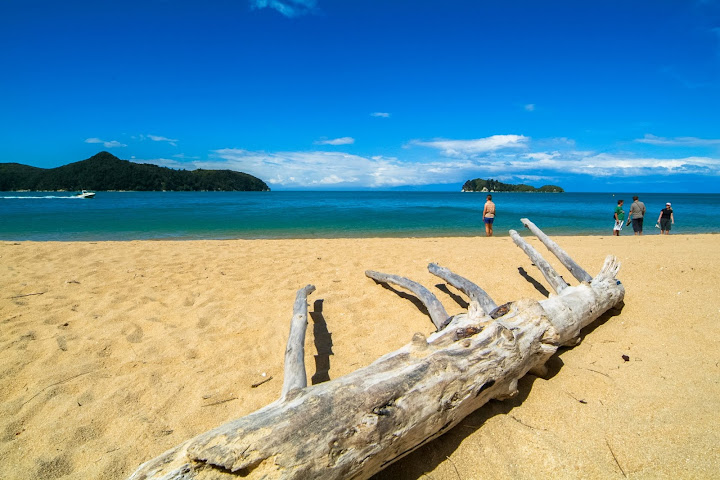 Ngaio Bay Beach 🏖️ Kaiteriteri, Južni Otok, Nova Zelandija - podrobne ...